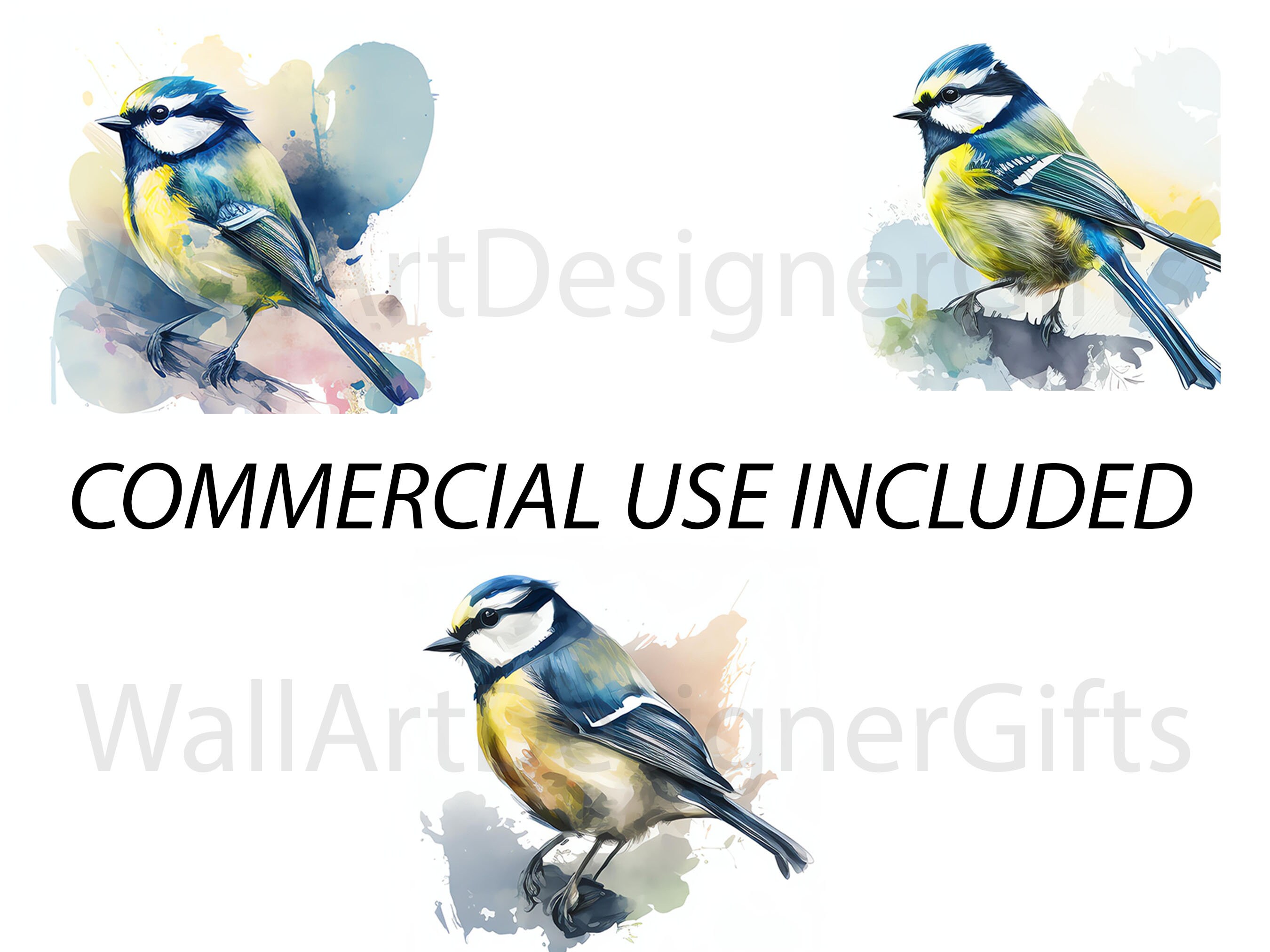 Bluetit Clipart People