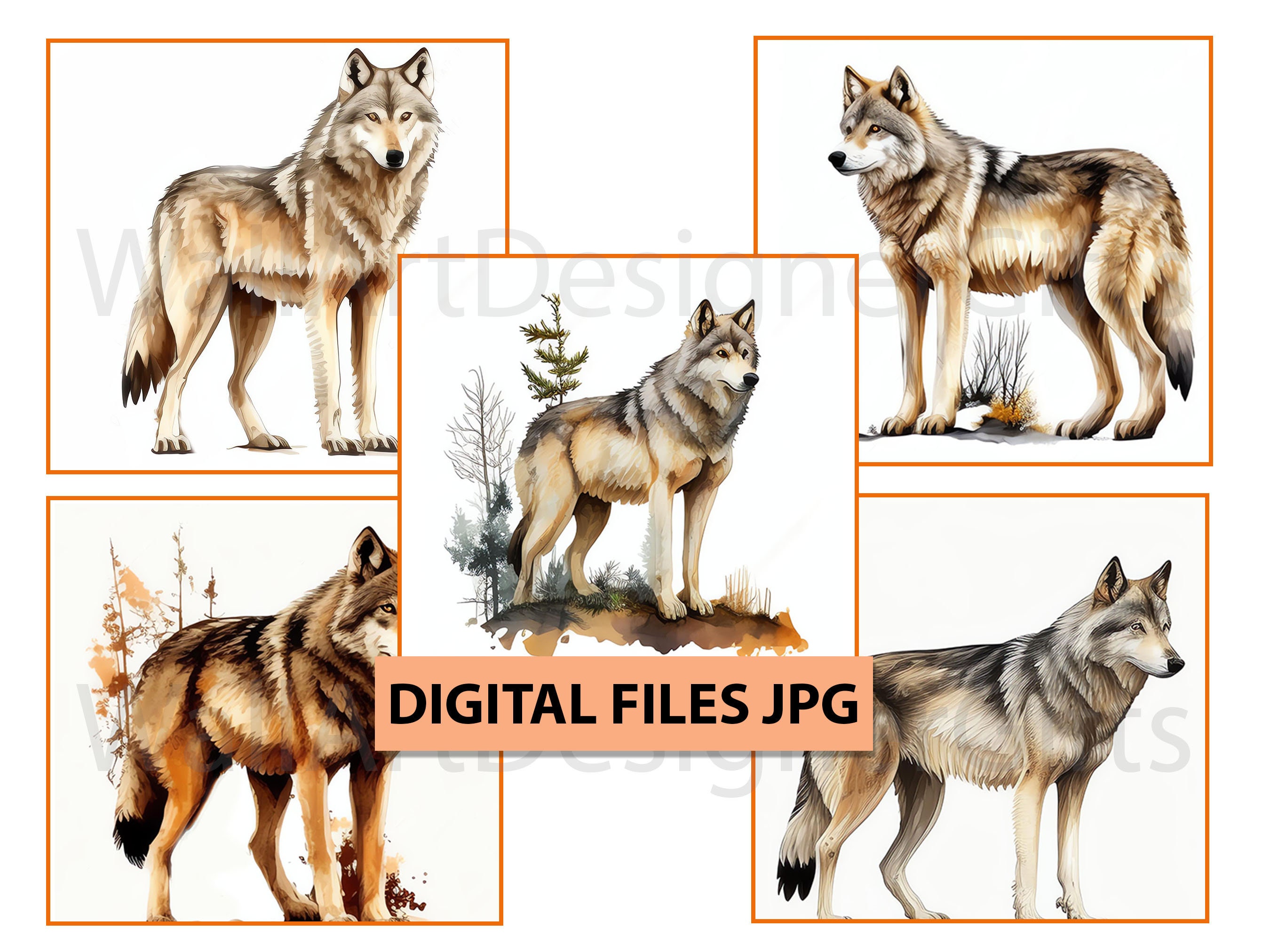 Timber Wolf Clipart 20 High Quality Woodland Animals JPG Bundle, Full ...