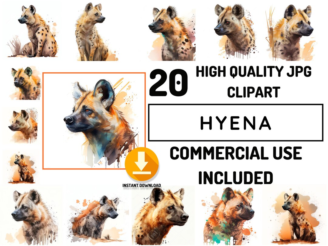 Hyena Clipart 20 High Quality Safari Animals JPG Bundle, Full ...