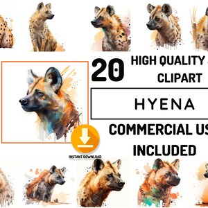 Hyena Clipart 20 High Quality Safari Animals JPG Bundle Full - Etsy