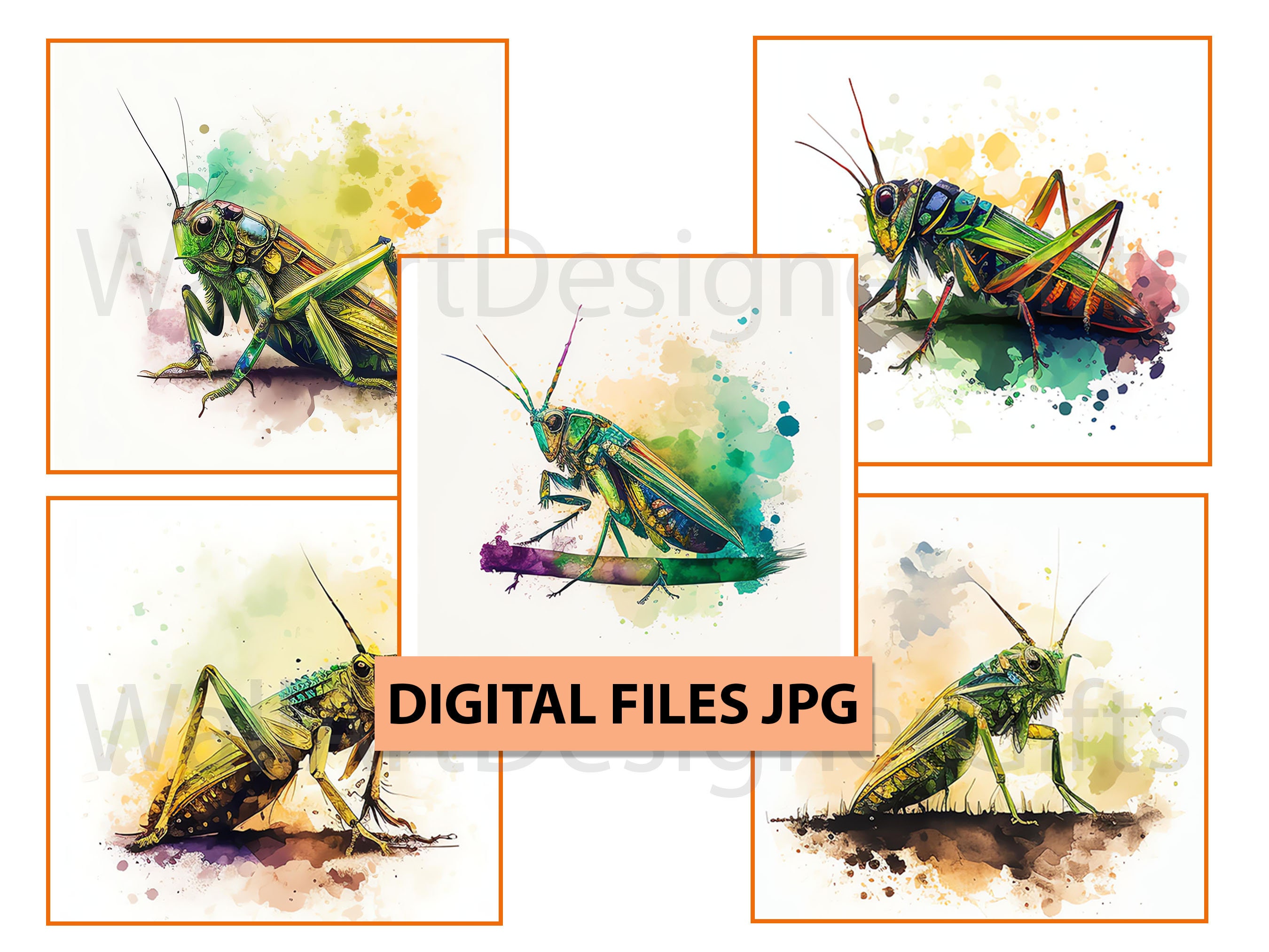 Farm Animals Clipart 20 JPG Cricket Bundle, Full Commercial Use, Cute ...
