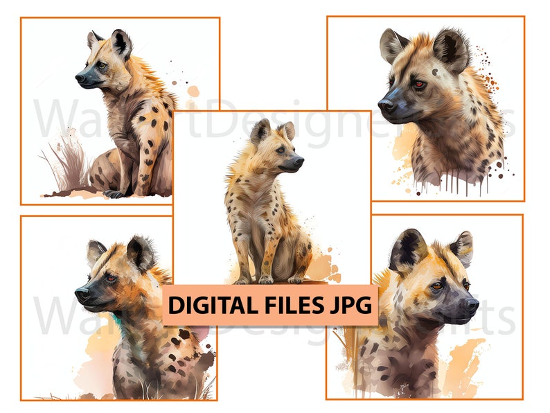 Hyena Clipart 20 High Quality Safari Animals JPG Bundle, Full ...