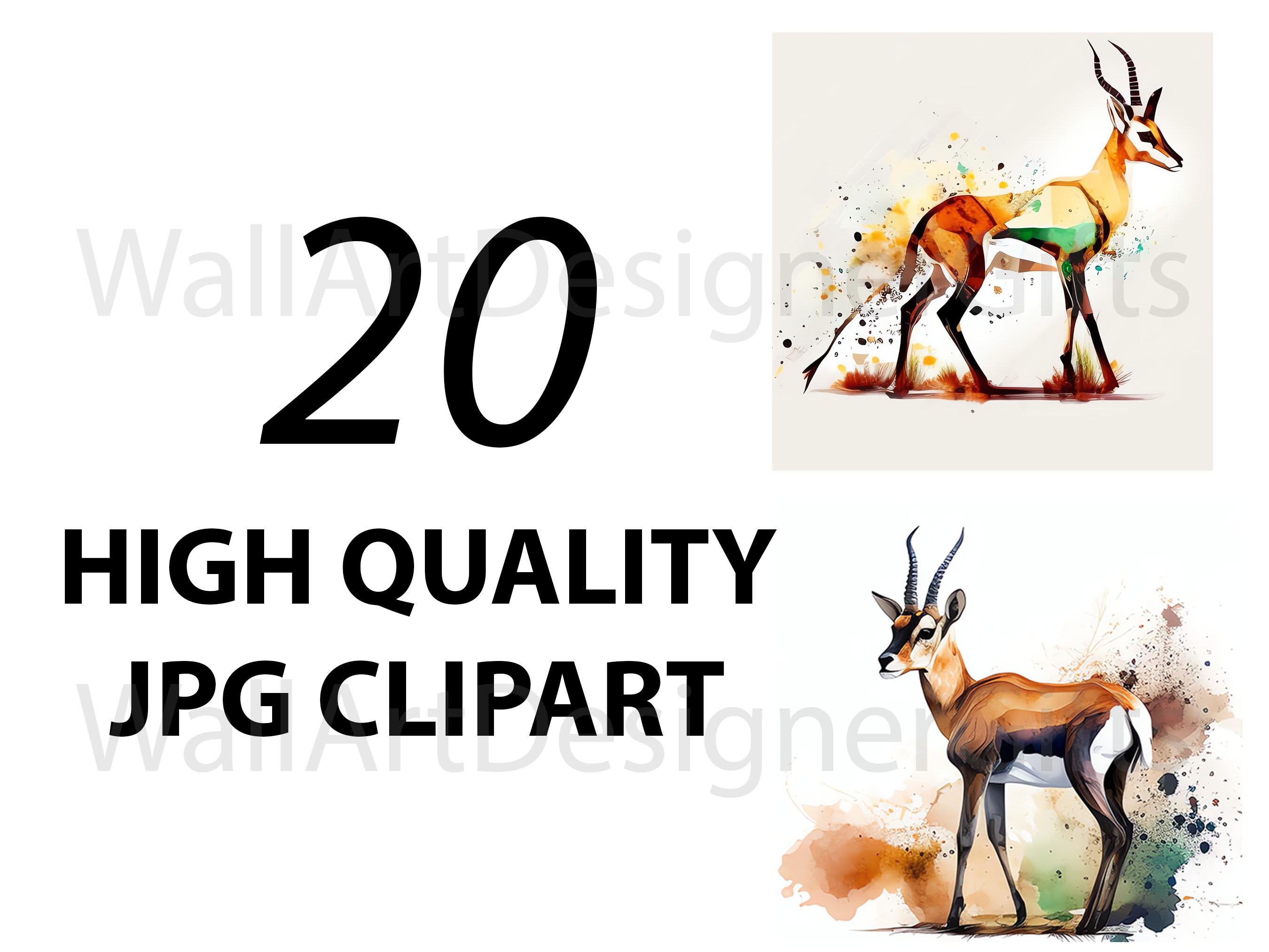 Springbok Animal Clipart