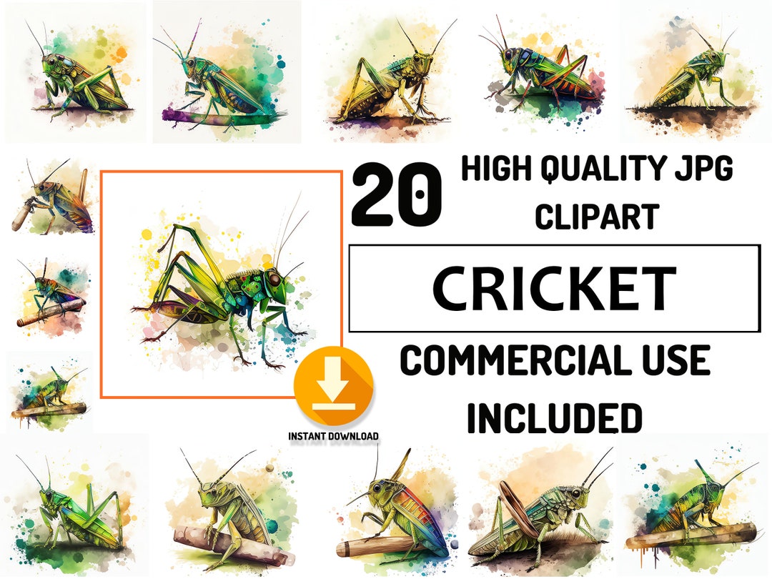 Farm Animals Clipart 20 JPG Cricket Bundle, Full Commercial Use, Cute ...