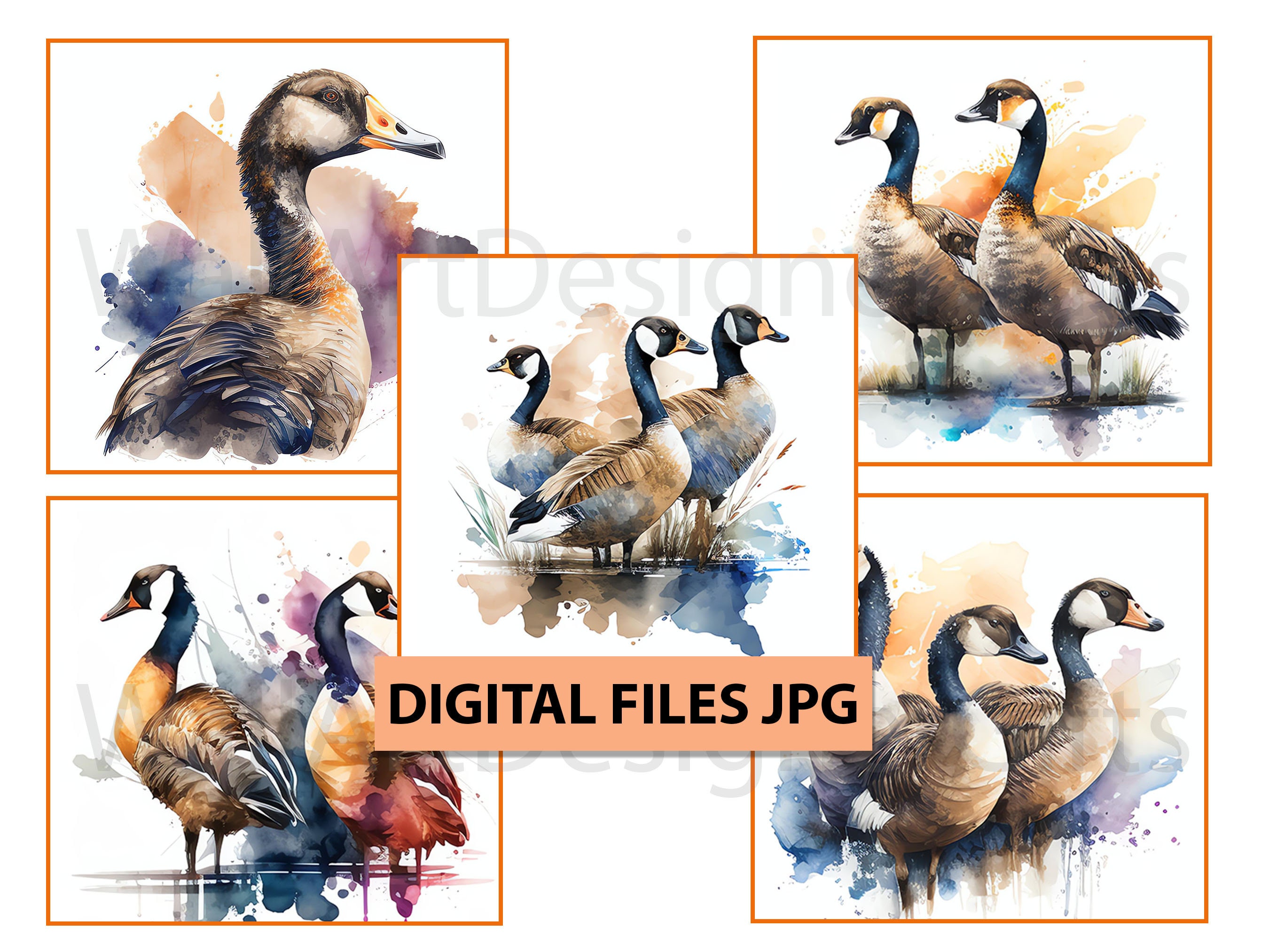 Farm Animals Clipart 20 JPG Geese Bundle, Full Commercial Use, Cute ...