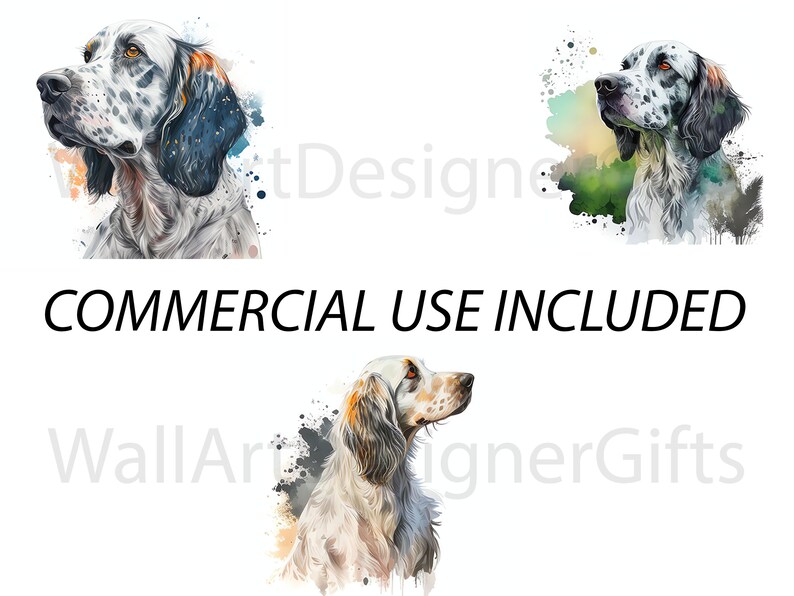20 English Setter Clipart JPG Bundle Full Commercial Use - Etsy
