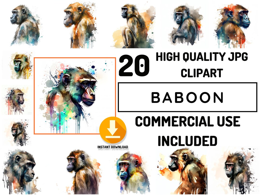 Baboon Clipart 20 High Quality Safari Animals JPG Bundle, Full ...
