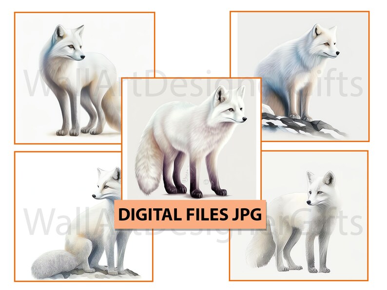 Arctic Fox Clipart 20 High Quality Woodland Animals JPG Bundle, Full ...