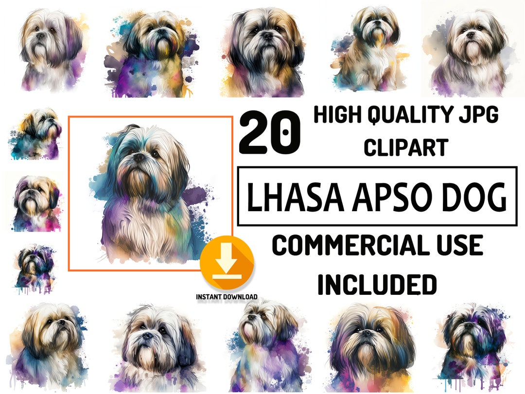 20 Lhasa Apso Dog Clipart JPG Bundle, Full Commercial Use, Cute Baby ...