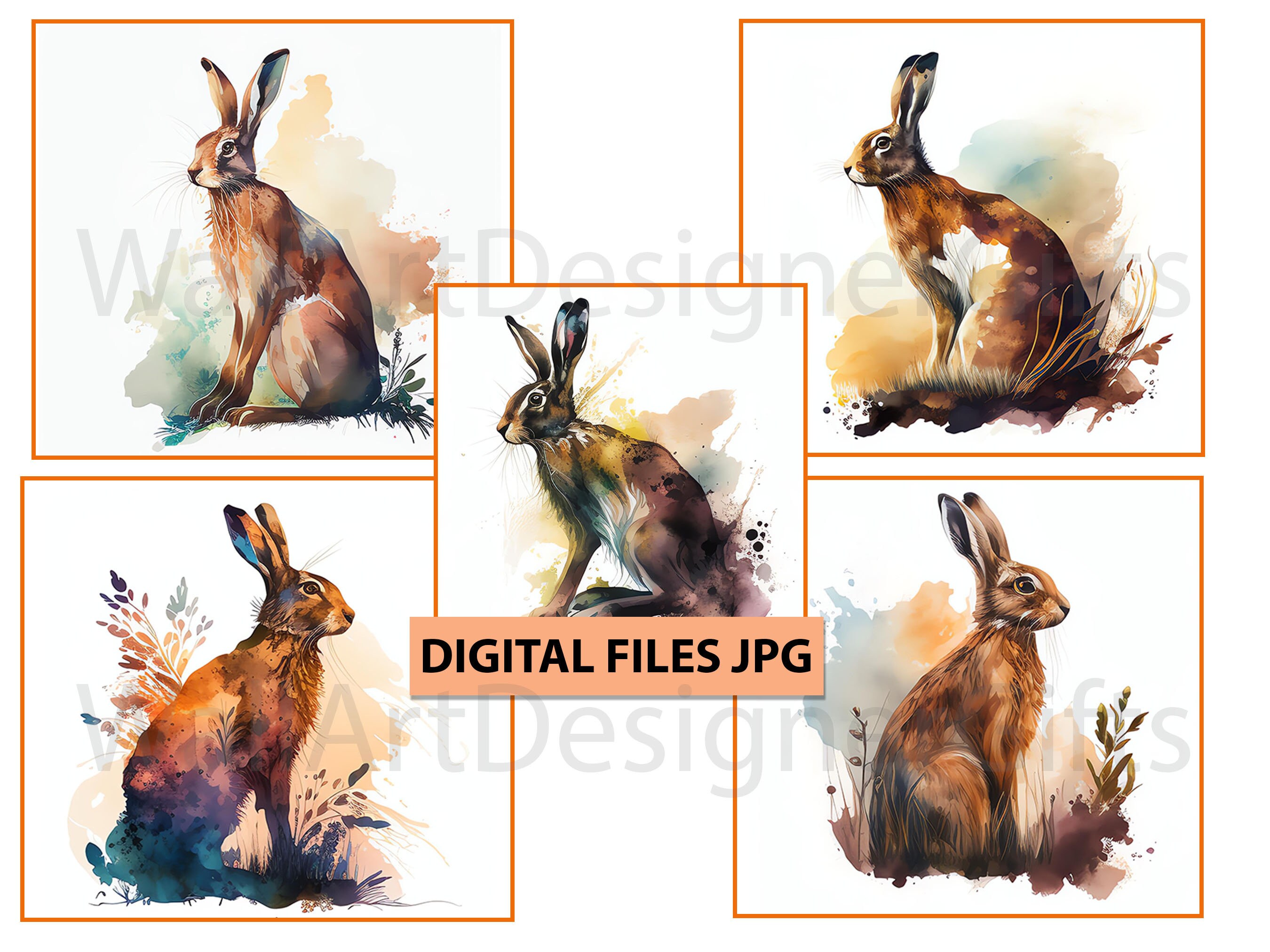 20 Hare Clipart JPG Bundle, Full Commercial Use, Cute Baby Shower ...