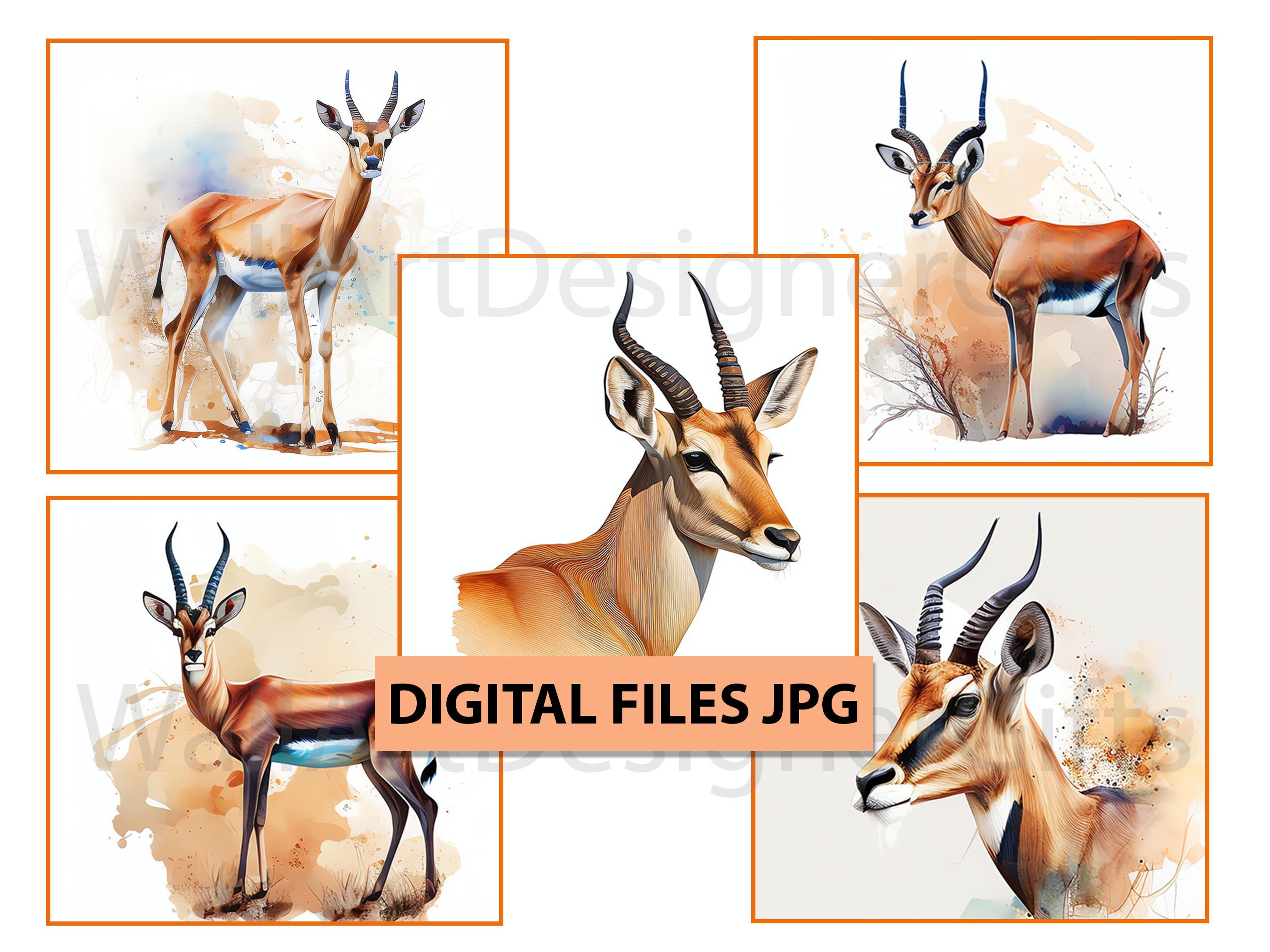 Impala Clipart 20 High Quality Safari Animals JPG Bundle, Full ...