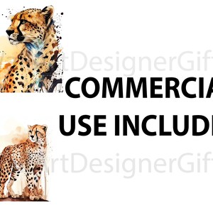 Cheetah Clipart 20 High Quality Safari Animals JPG Bundle, Full ...