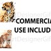 Cheetah Clipart 20 High Quality Safari Animals JPG Bundle, Full ...
