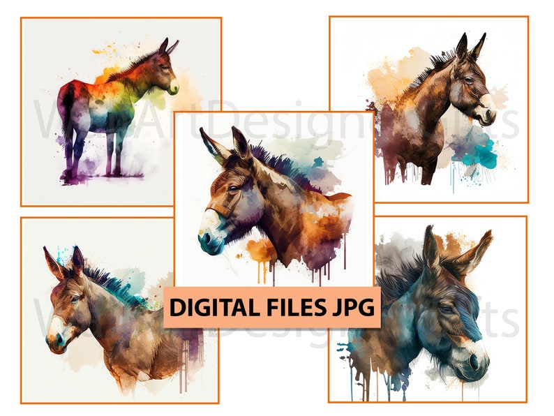 Farm Animals Clipart 20 JPG Donkey Bundle, Full Commercial Use, Cute ...