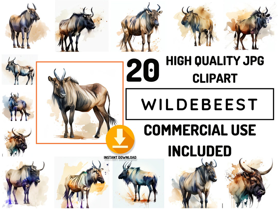 Wildebeest Clipart 20 High Quality Safari Animals JPG Bundle, Full ...