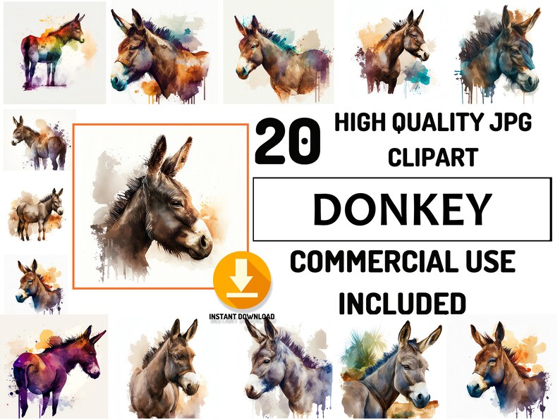 Farm Animals Clipart 20 JPG Donkey Bundle, Full Commercial Use, Cute ...