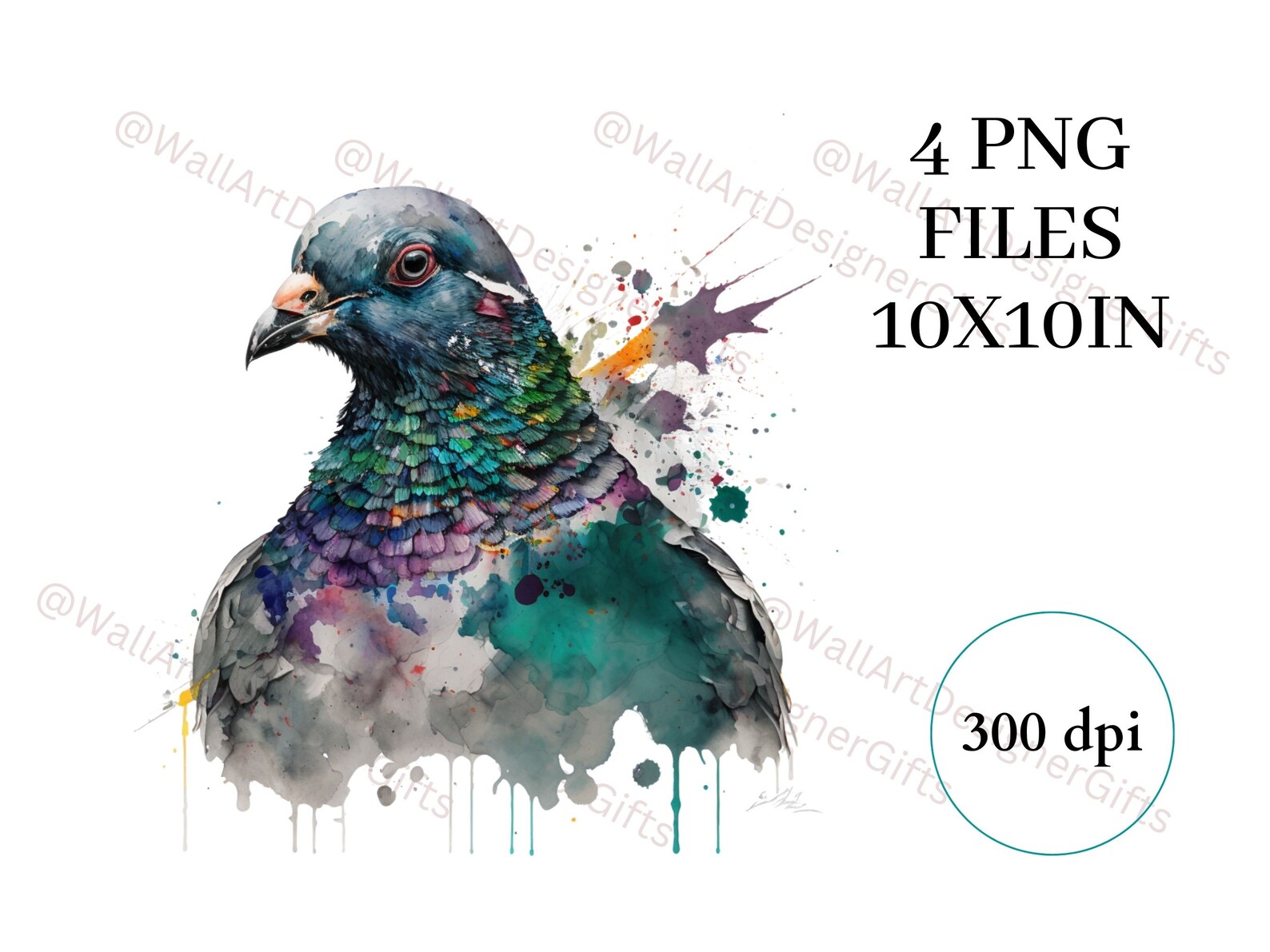 Pigeon Watercolor Clipart, Pigeon Watercolor, Pigeon Clipart PNG ...