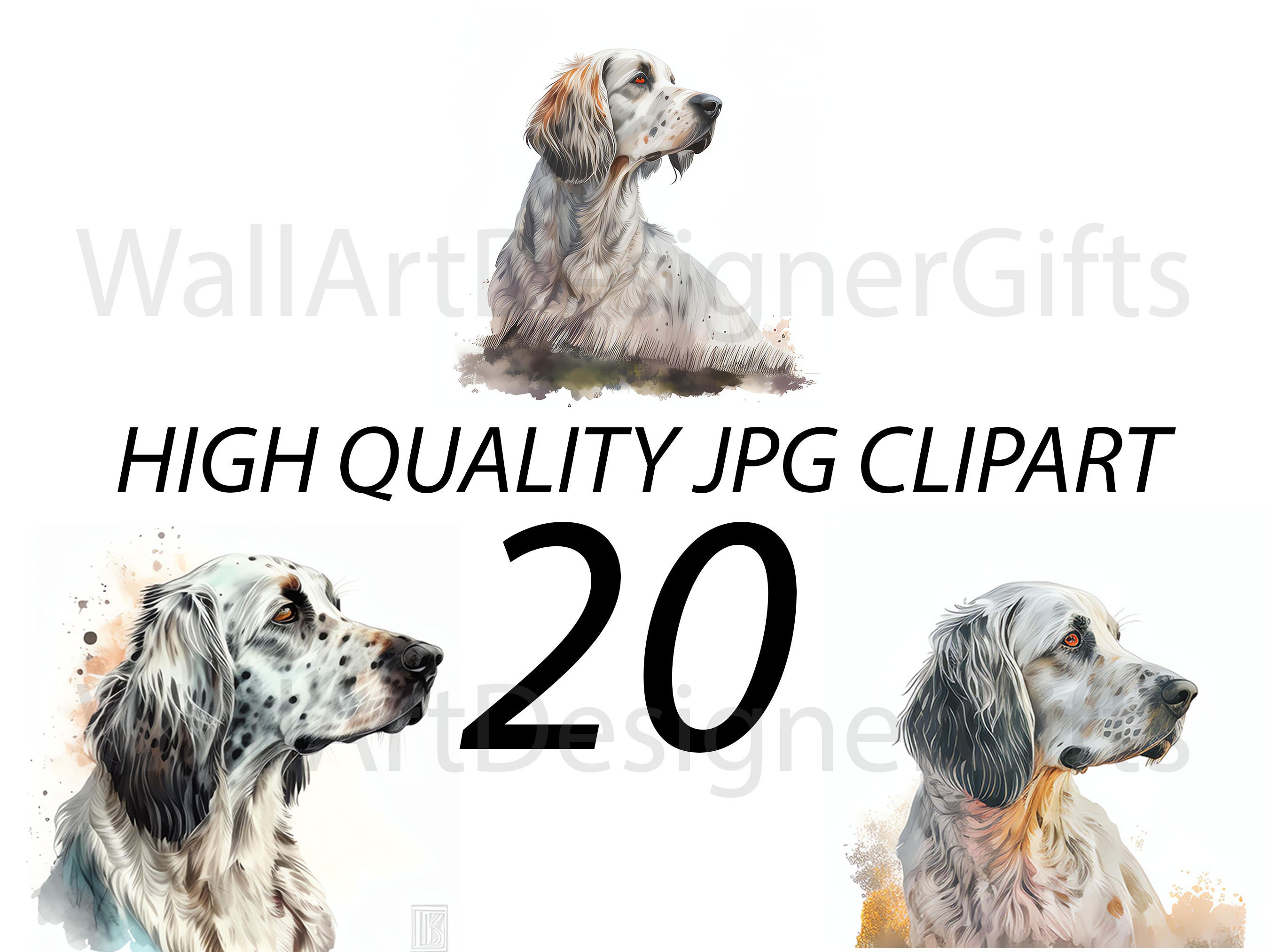 20 English Setter Clipart JPG Bundle, Full Commercial Use, Cute Baby ...