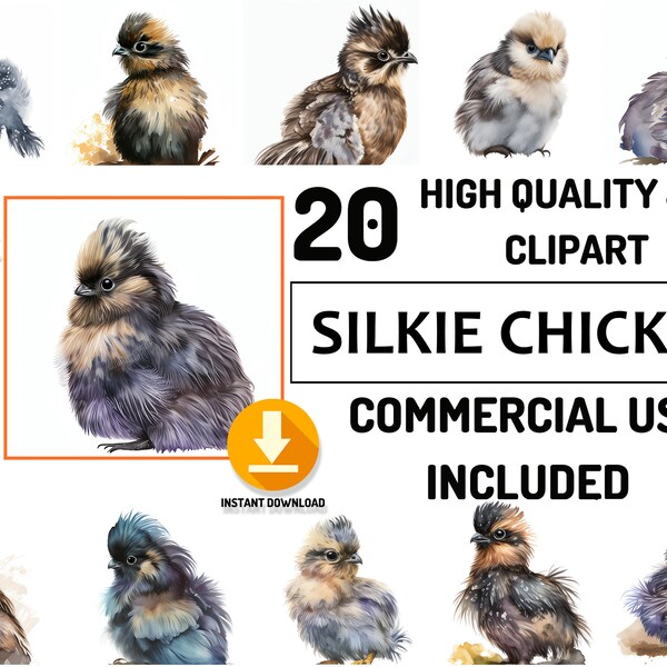 Silkie - Etsy
