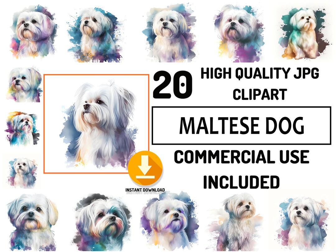 20 Maltese Dog Clipart JPG Bundle, Full Commercial Use, Cute Baby ...