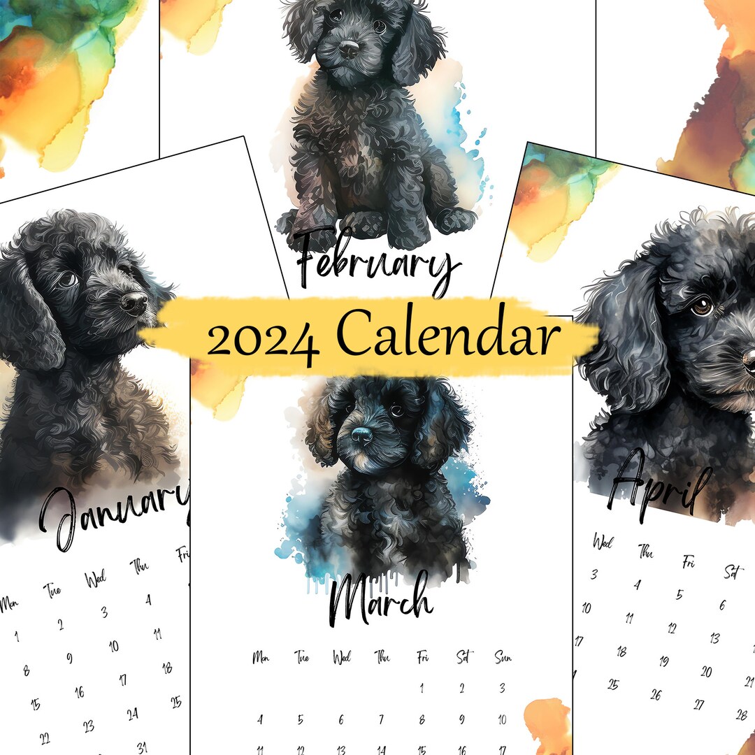 2024 Illustrated Watercolor Black Poodle Puppy Calendar - Etsy