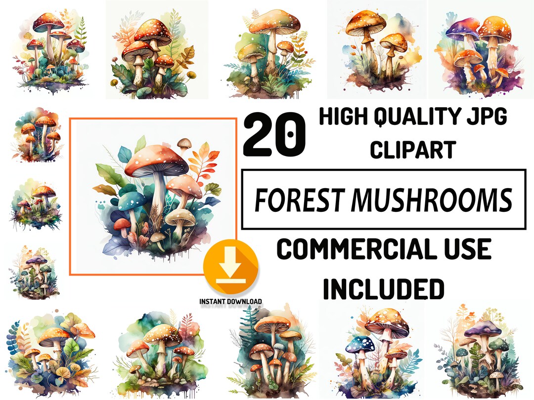 20 Forest Mushrooms Clipart JPG Bundle, Full Commercial Use, Baby ...