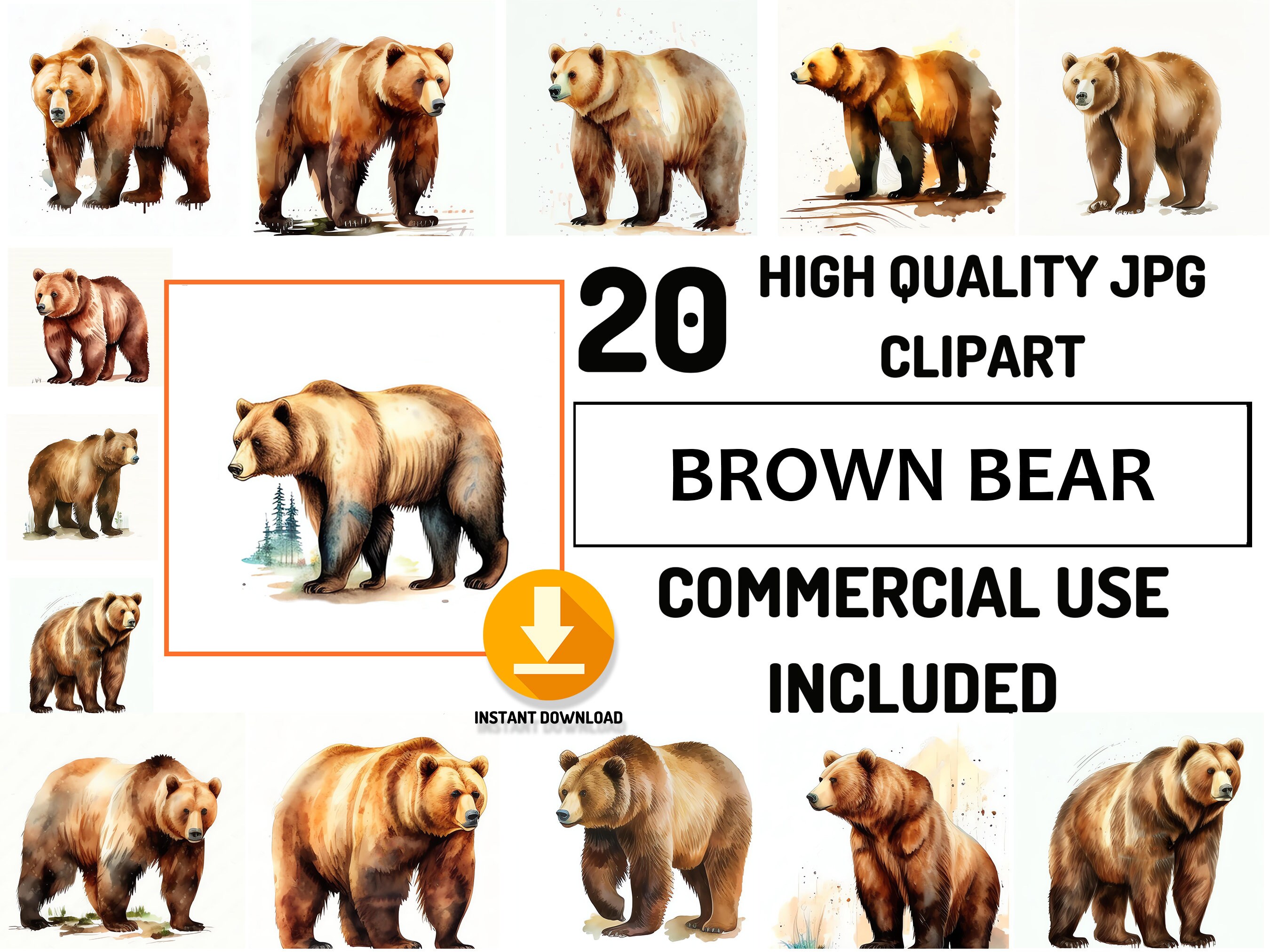Brown Bear Clipart 20 High Quality Woodland Animals JPG - Etsy