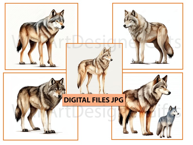 Timber Wolf Clipart 20 High Quality Woodland Animals JPG Bundle, Full ...