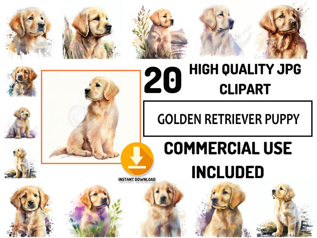 20 Golden Retriever Puppy Clipart JPG Bundle, Full Commercial Use, Dog ...