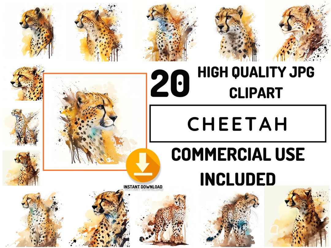Cheetah Clipart 20 High Quality Safari Animals JPG Bundle, Full ...