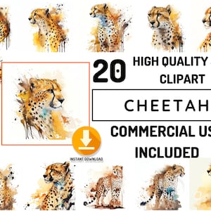 Cheetah Clipart 20 High Quality Safari Animals JPG Bundle, Full ...
