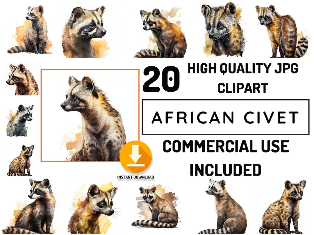 African Civet Clipart 20 High Quality Safari Animals JPG Bundle, Full ...