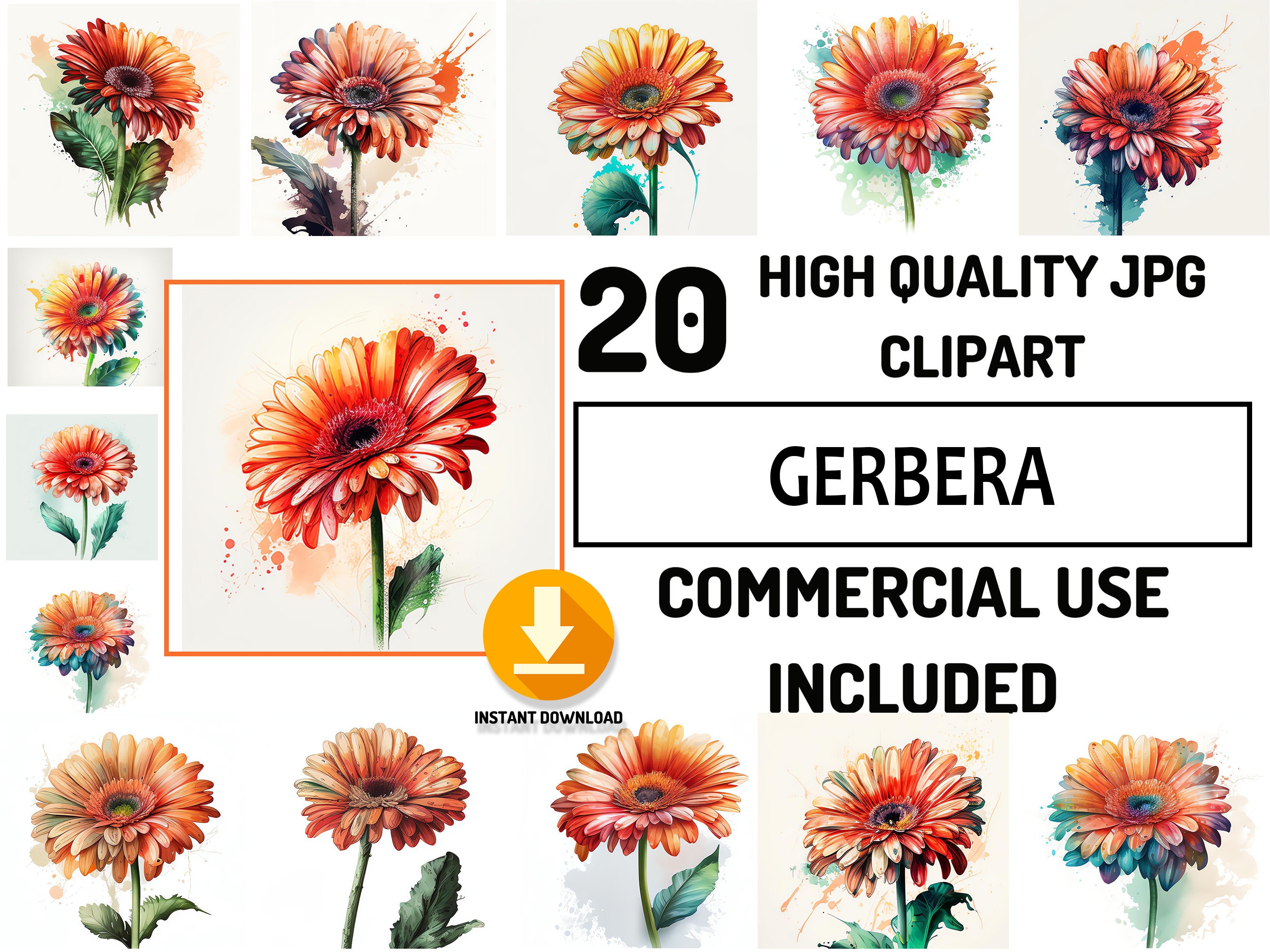 20 Gerbera Flower Clipart JPG Bundle, Full Commercial Use, Cute Baby ...