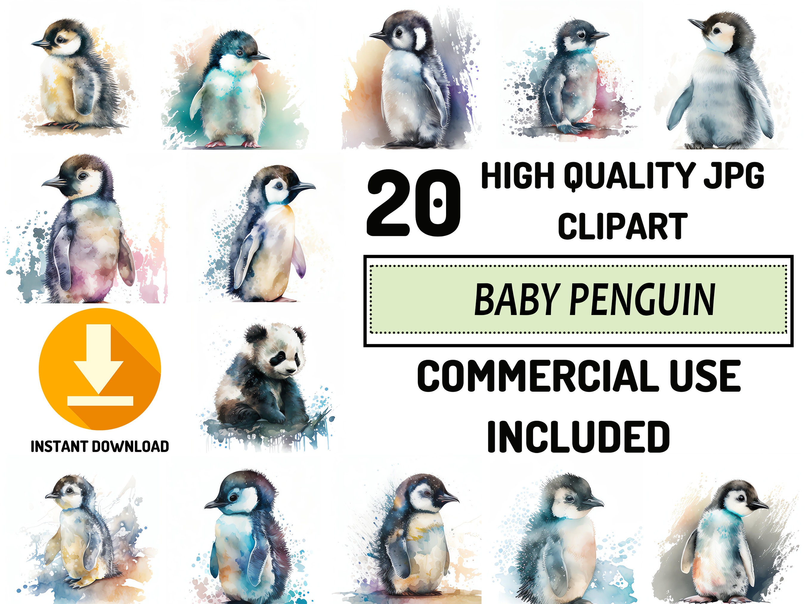 Baby Penguin Clipart - 20 High Quality Jpgs, Full Commercial Use ...