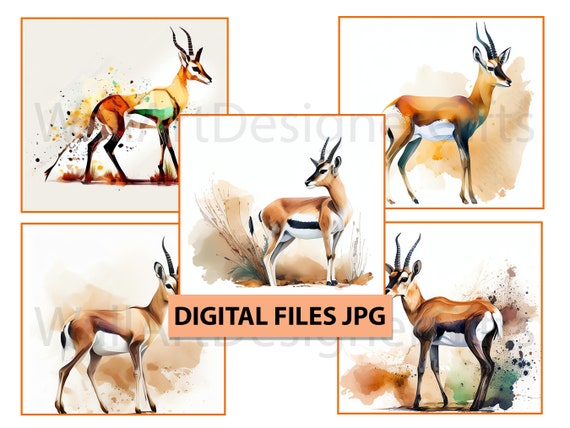 Springbok Animal Clipart