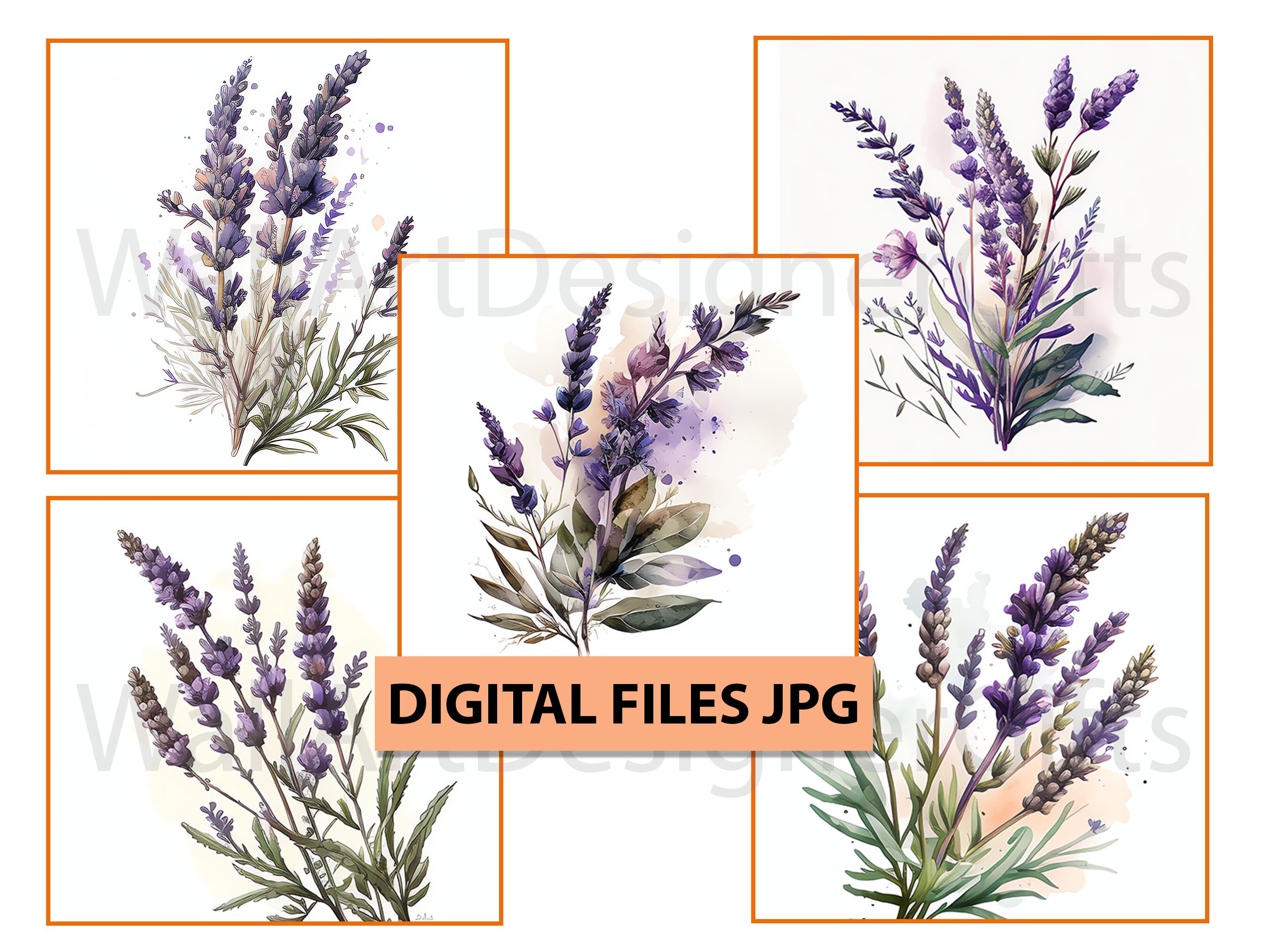 20 Lavender Flowers Clipart JPG Bundle, Full Commercial Use, Watercolor ...
