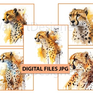 Cheetah Clipart 20 High Quality Safari Animals JPG Bundle, Full ...