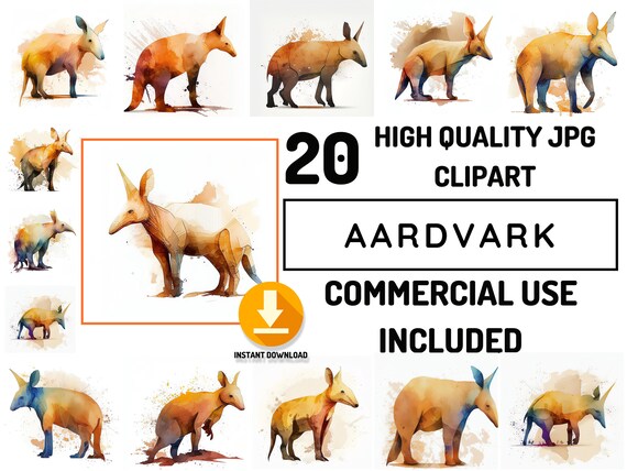 Aardvark Clipart