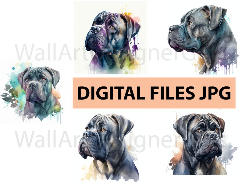 Cane Corso Dog Clipart 20 High Quality JPG, Full Commercial Use ...