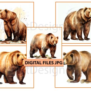 Brown Bear Clipart 20 High Quality Woodland Animals JPG Bundle, Full ...