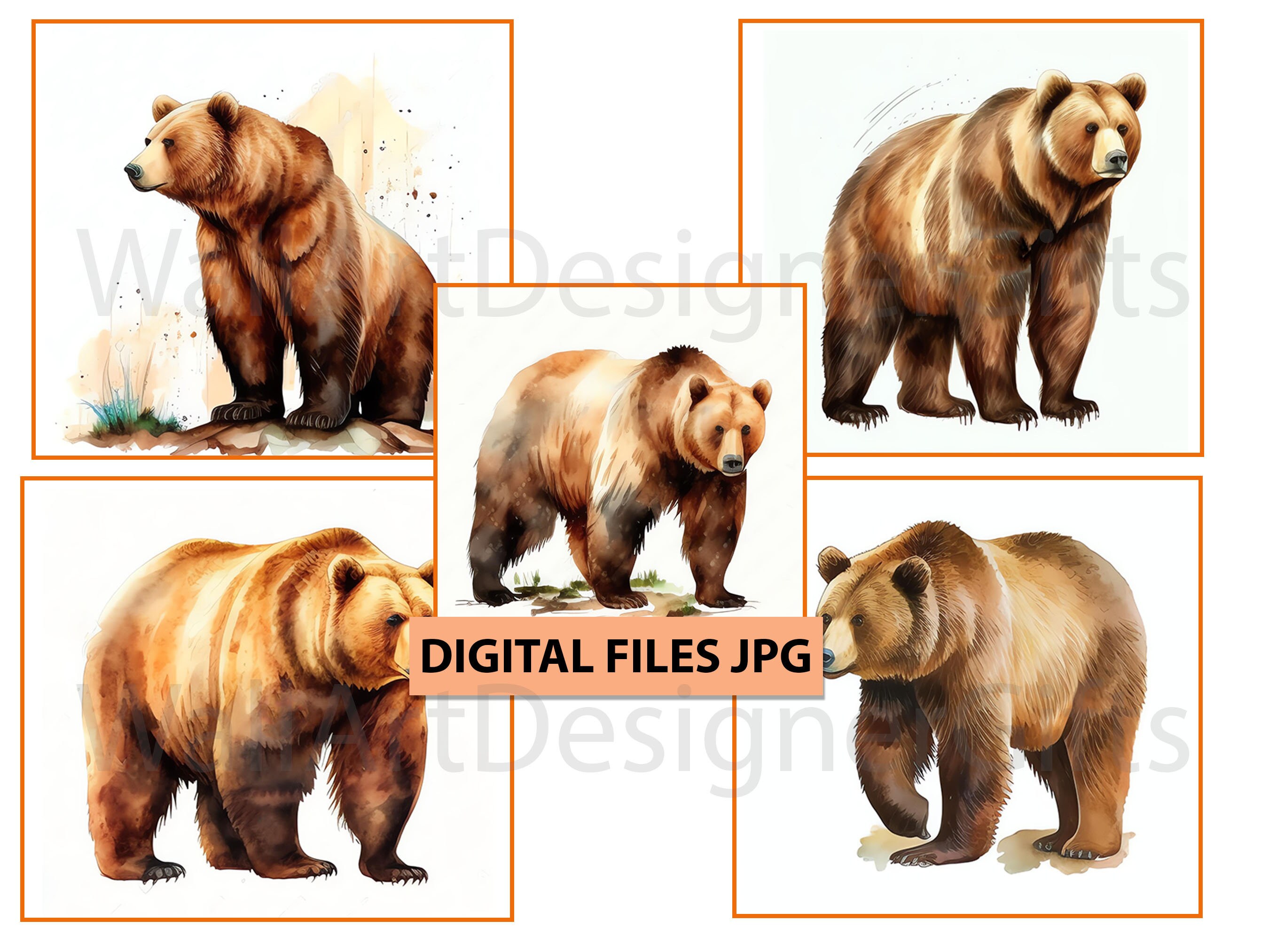 Brown Bear Clipart 20 High Quality Woodland Animals JPG - Etsy