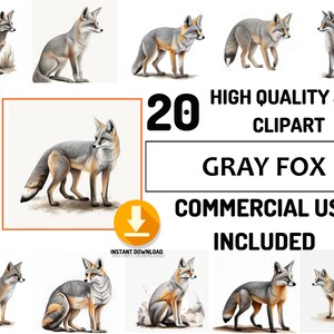 Gray Fox Clipart 20 High Quality Woodland Animals JPG Bundle, Full ...