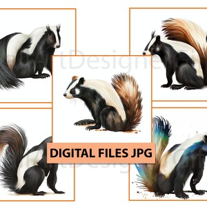 Skunk Clipart 20 High Quality Woodland Animals JPG Bundle, Full ...
