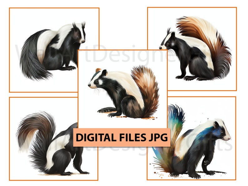 Skunk Clipart 20 High Quality Woodland Animals JPG Bundle, Full ...