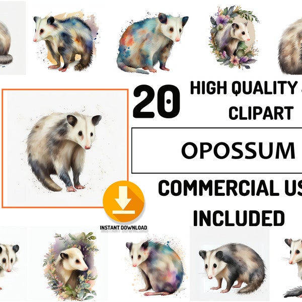 Opossum Graphics - Etsy