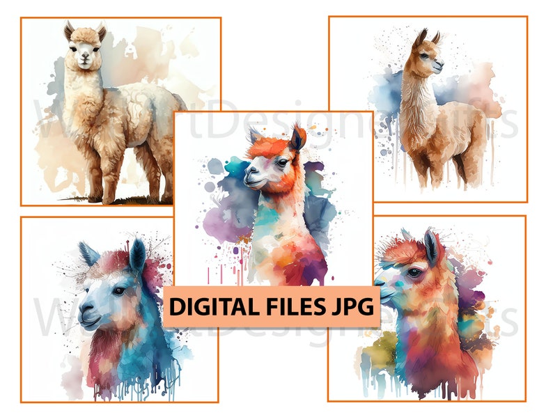 Farm Animals Clipart 20 Alpaca Animal Bundle, Full Commercial Use, Cute ...