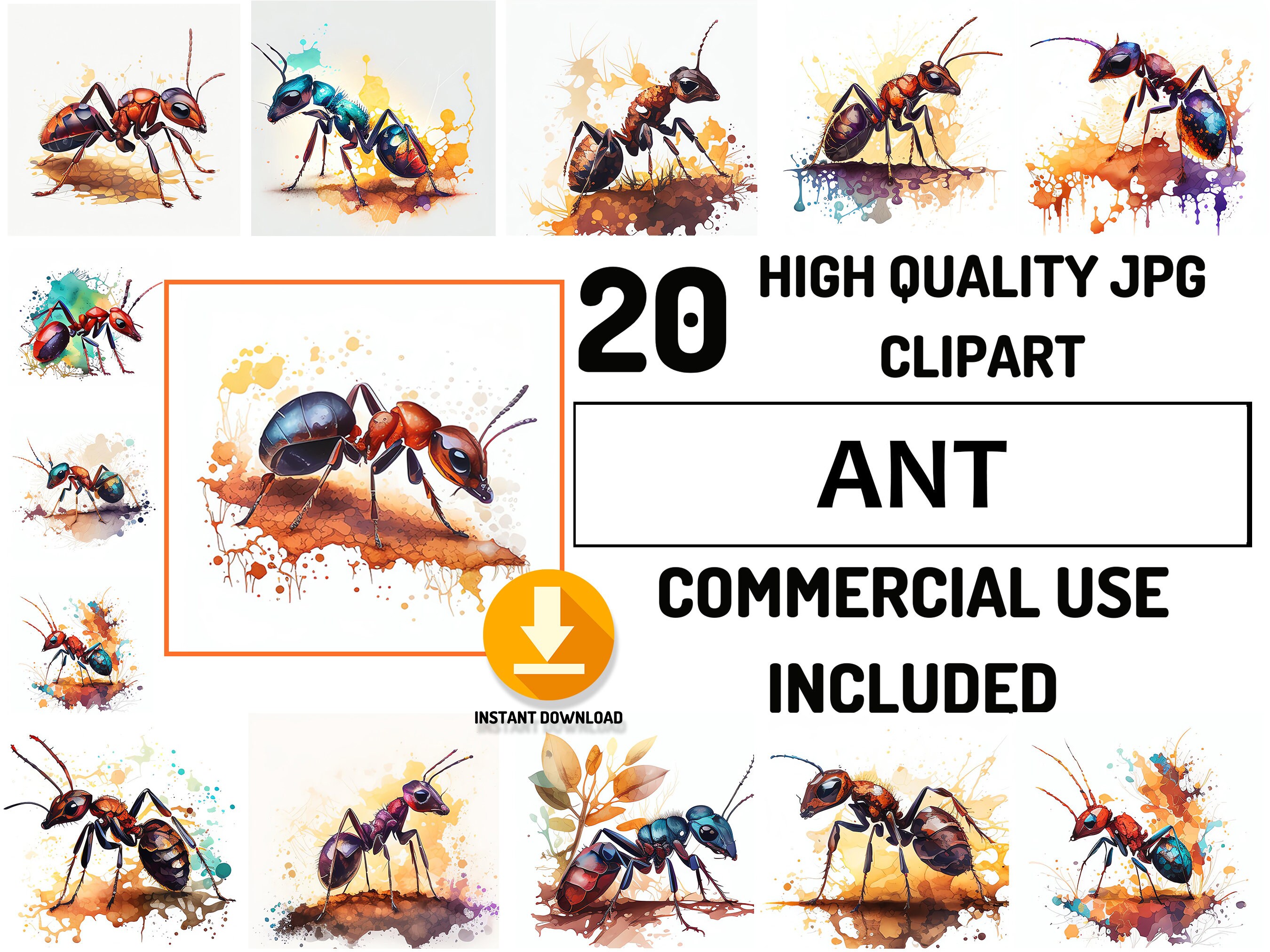 Significant Other Ant Farm Clipart
