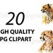 Cheetah Clipart 20 High Quality Safari Animals JPG Bundle, Full ...