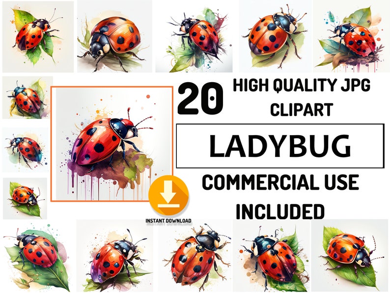 Farm Animals Clipart 20 JPG Ladybug Bundle Full Commercial - Etsy
