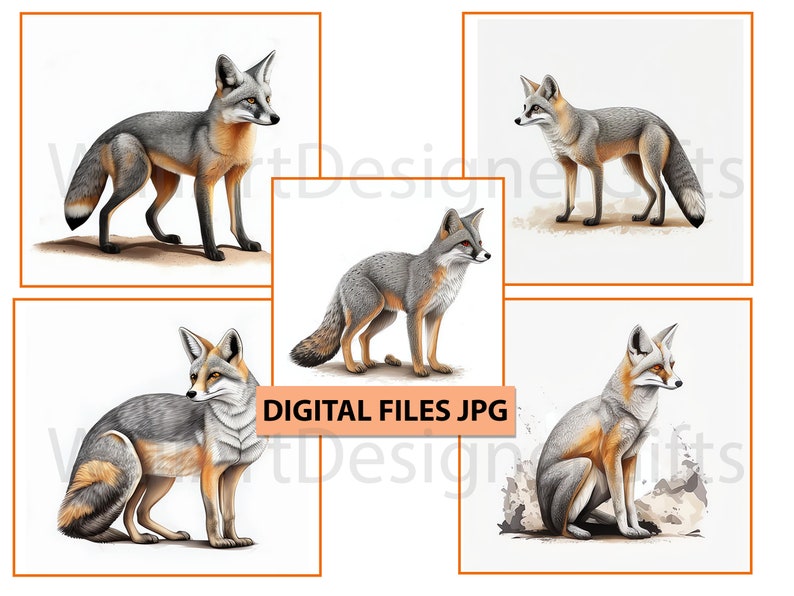 Gray Fox Clipart 20 High Quality Woodland Animals JPG Bundle, Full ...